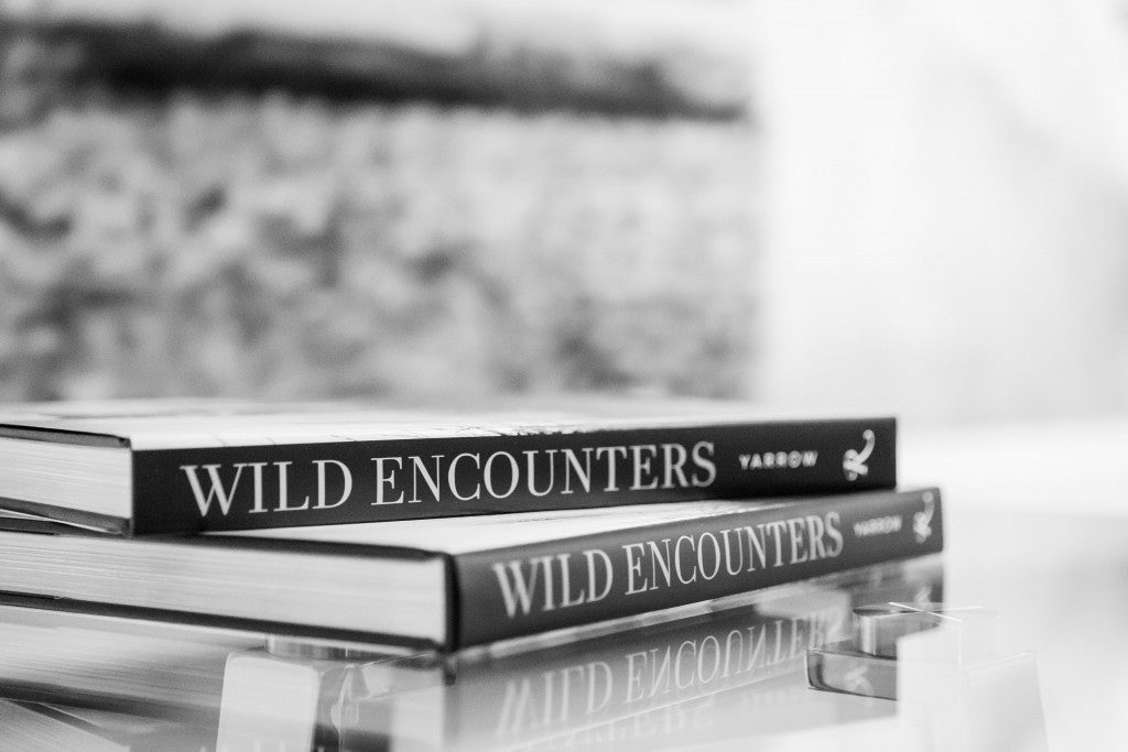 Wild Encounters – David Yarrow Photography